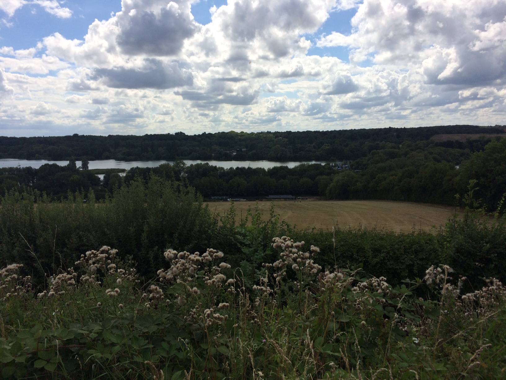 The Old Orchard at Harefield – Maria Bristoll